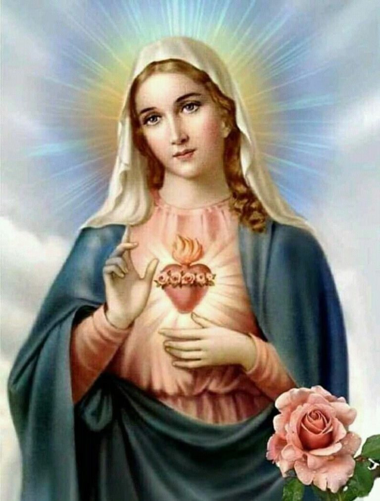 DESCUBRE ¿QUÉ SIGNIFICA EL FIAT DE LA VIRGEN MARÍA?