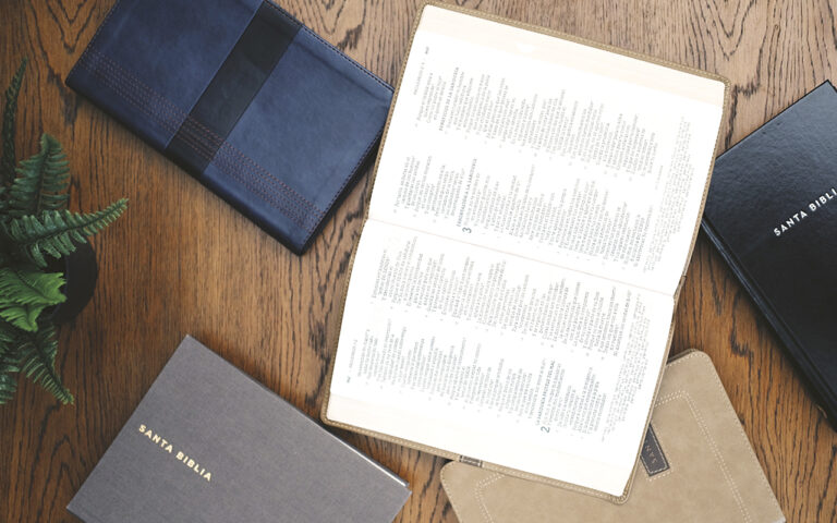 BIBLIA DE LAS AMÉRICAS ¡MEJOR QUE LA REINA VALERA! 4800